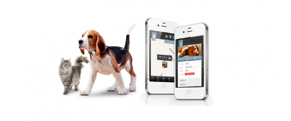 Pet Tracking GPS | IoT Pet Tracking Products | Internet of Cats & Dogs